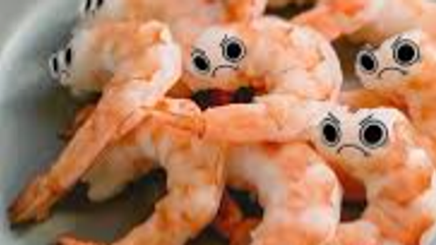 Universal Script 📌 | Auto jump — Roblox Scripts | ScriptBlox