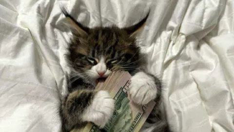 Dig and Hatch a Brainrot [🍓] | DigandHatchaBrainrot Op Script — Roblox Scripts | ScriptBlox