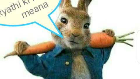 Universal Script 📌 | King of blox fruit — Roblox Scripts | ScriptBlox