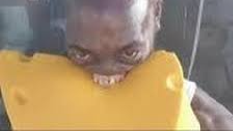 Universal Script 📌 | Cheeseman GT Script Hub — Roblox Scripts | ScriptBlox