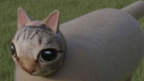 Universal Script 📌 | Kncrypt hub blox fruits and more — Roblox Scripts ...