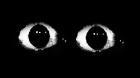 Universal Script 📌 | Universal Anti lag — Roblox Scripts | ScriptBlox