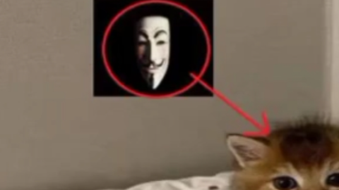 Universal Script 📌 | GOOFY AH WALK MADE BY V0C0N — Roblox Scripts ...