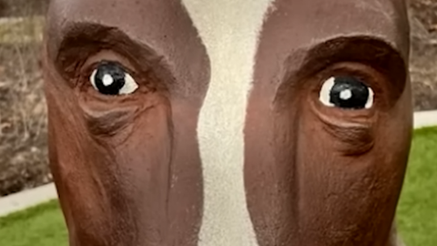 Universal Script 📌 | Universal Aimbot — Roblox Scripts | ScriptBlox