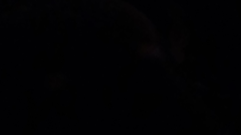 Universal Script 📌 | Idk — Roblox Scripts | ScriptBlox