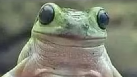 Universal Script 📌 | plato keysystem work pastebin!! example — Roblox ...