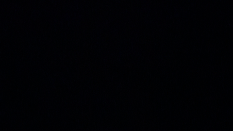 Universal Script 📌 | Claimscript 1 — Roblox Scripts | ScriptBlox