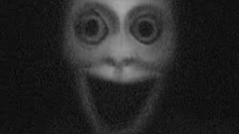 Universal Script 📌 | Arceus x script — Roblox Scripts | ScriptBlox