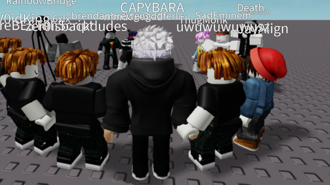 Universal Script 📌 | Client-Sided Player Orbit Script — Roblox Scripts | ScriptBlox