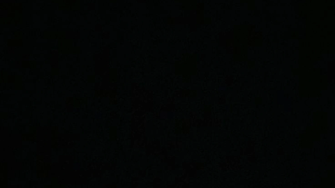 Universal Script 📌 | Universal fly script — Roblox Scripts | ScriptBlox