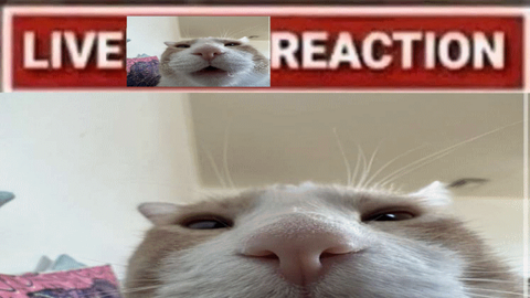 Universal Script 📌 | Nightmare ACS — Roblox Scripts | ScriptBlox