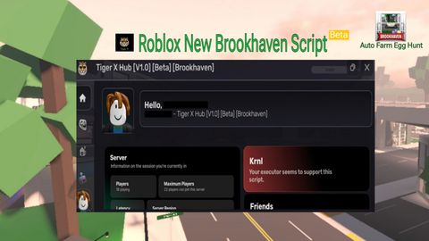 Brookhaven 🏡RP | Tiger X — Roblox Scripts | ScriptBlox