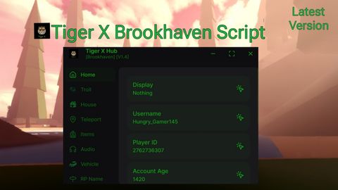 Brookhaven 🏡RP | Tiger X — Roblox Scripts | ScriptBlox