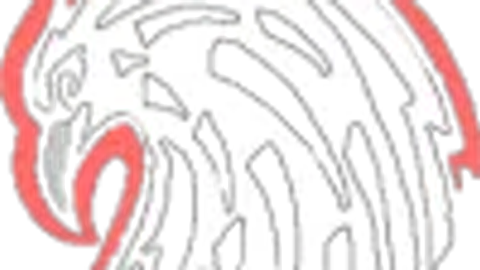 Universal Script 📌 | Hawk HUB Source Code — Roblox Scripts | ScriptBlox