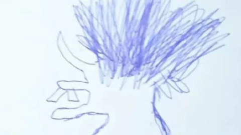 Universal Script 📌 | Speed Acceleration Script — Roblox Scripts | ScriptBlox