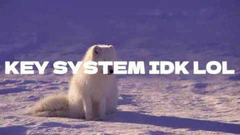 Universal Script 📌 | Key System Quite Good — Roblox Scripts | ScriptBlox