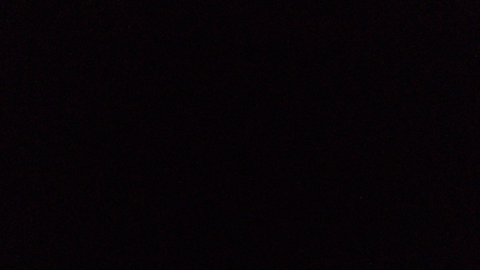 Universal Script 📌 | FLING ALL SCRIPT — Roblox Scripts | ScriptBlox