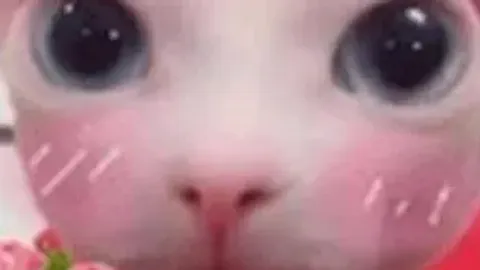 Brookhaven 🏡RP | R4D script no key — Roblox Scripts | ScriptBlox