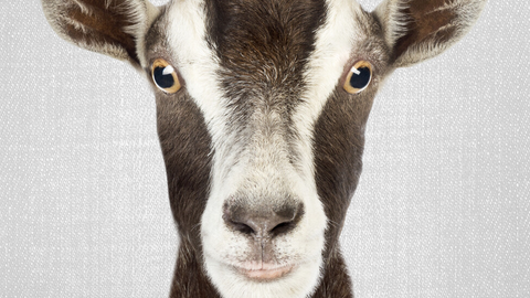 Universal Script 📌 | TSB — Roblox Scripts | ScriptBlox