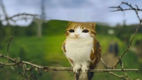 Universal Script 📌 | screame Trolling friend — Roblox Scripts | ScriptBlox