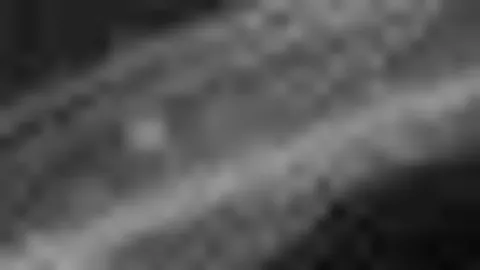 Universal Script 📌 | Energize — Roblox Scripts | ScriptBlox