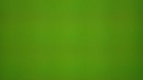 Universal Script 📌 | Fling Panel — Roblox Scripts | ScriptBlox