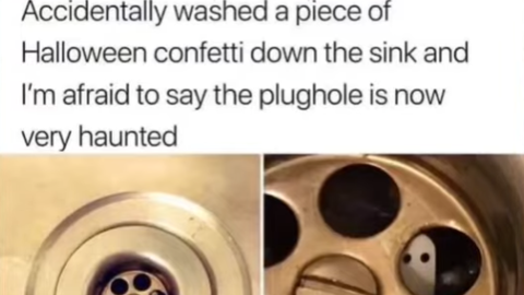 Universal Script 📌 | Dash button — Roblox Scripts | ScriptBlox