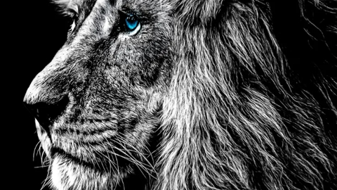 Universal Script 📌 | Anti afk lol — Roblox Scripts | ScriptBlox