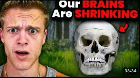 [☀️ FINAL GEAR 5 + 8x 🥁] AOPG | Script request — Roblox Scripts ...