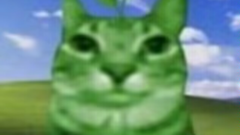 Universal Script 📌 | anti lag — Roblox Scripts | ScriptBlox