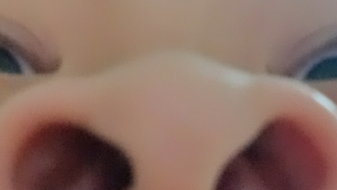 Universal Script 📌 | brookhaven — Roblox Scripts | ScriptBlox