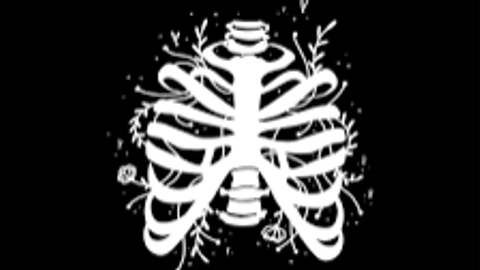 Universal Script 📌 | Fe Gale Fighter 2025 — Roblox Scripts | ScriptBlox