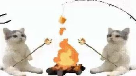 Universal Script 📌 | Noclip button — Roblox Scripts | ScriptBlox